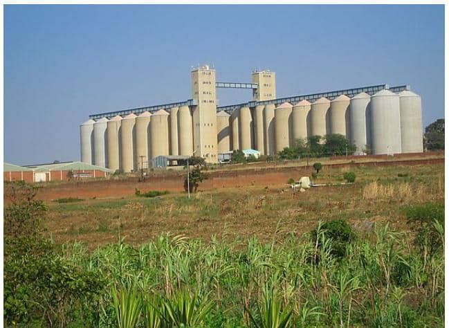 The selling of rotten admarc Maize was disappointing - 247MALAWI NEWS